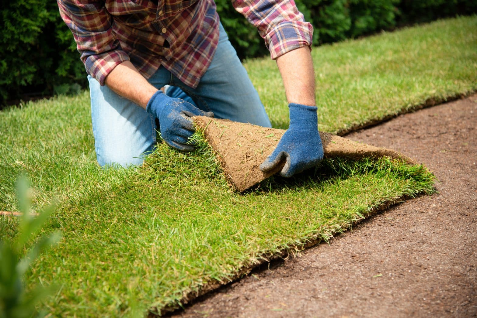 Sod Services in Metairie, LA | TurnKey SOD