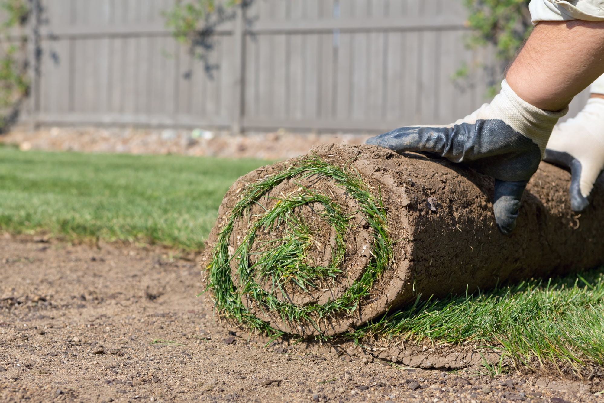 Sod Services in Kenner, LA | TurnKey SOD